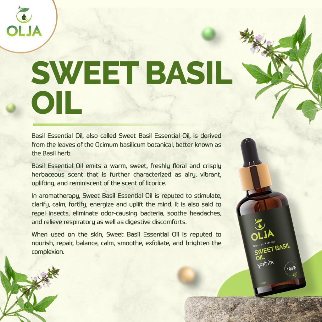 Sweet Basil Essential Oil – Olja Essentials Sweet Basil Essential Oil – Olja Essentials