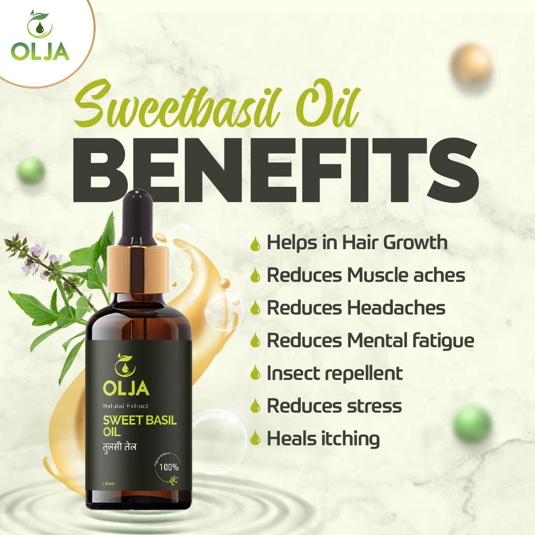 Sweet Basil Essential Oil – Olja Essentials Sweet Basil Essential Oil – Olja Essentials
